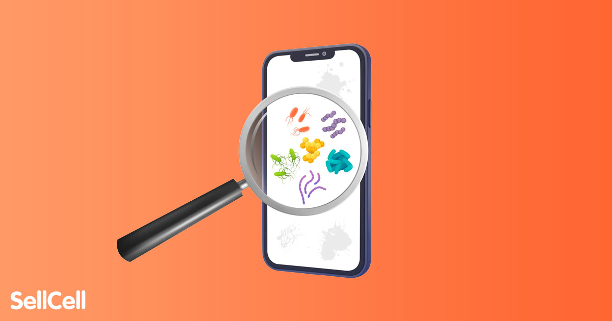 Phone Bacteria Research